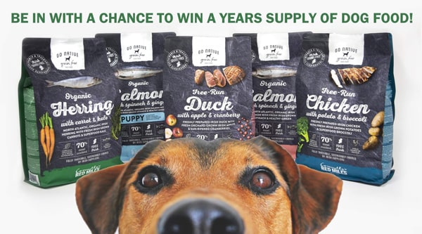 Nutrition and Healthcare Solutions for Pets | Connolly’s Red Mills